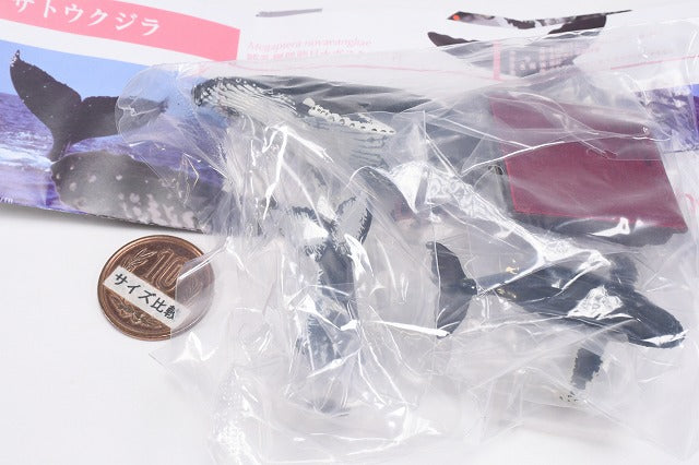 Nature Techni colour Ogasawara Special Edition [1.Megaptera novaeangli – toysantajp