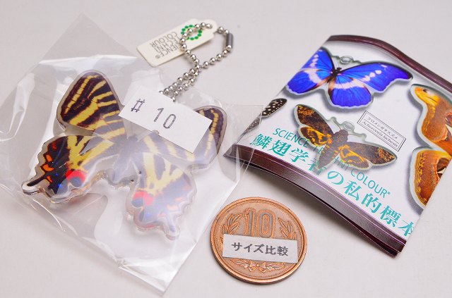 Science Techni colour Private specimen of Lepidopteran Acrylic Mascot – toysantajp