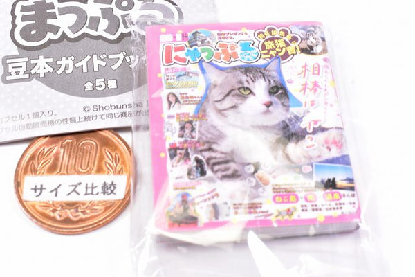 Mapple Mamehon Guidebook vol.2 [5.Secret : Nyapple] – toysantajp