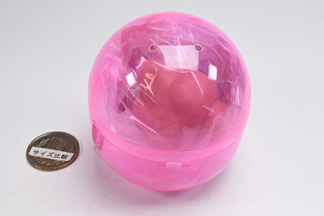 Mukimuki-wi [1.Kiwinniku training] – toysantajp