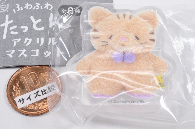 Fuwafuwatatton Acrylic Mascot [6.Cat Chatora] – toysantajp