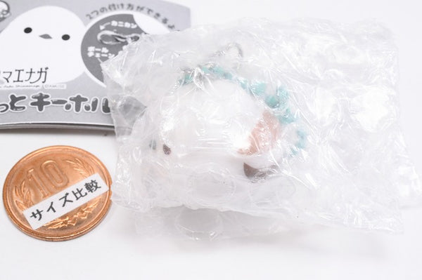 Fuku Fuku Shimaenaga Chimitto Keychain [4.Shima-chan (light color ...