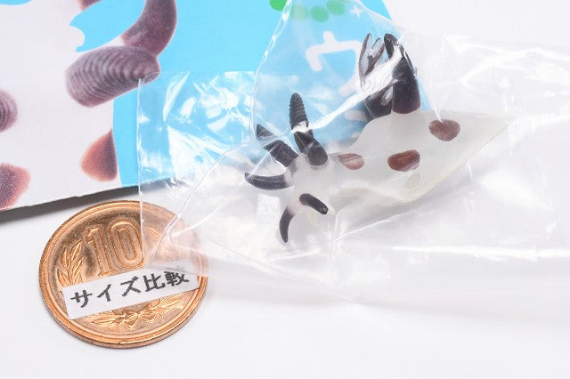 Nature Techni Color MONO PLUS Sea Slug Figure Magnet [4.Panda horn sea ...