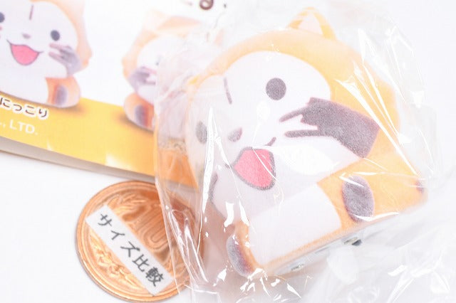 Fuwattohikaru RASCAL Mascot [1.Nikkori] – toysantajp