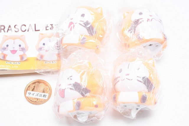 Fuwattohikaru RASCAL Mascot [All 4 type set(Full Complete)] – toysantajp