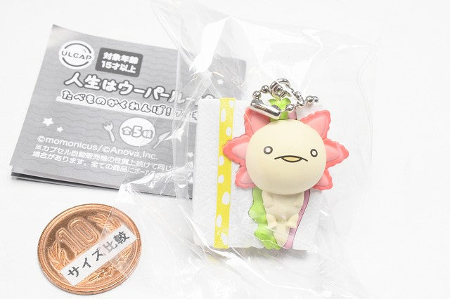 Life is Axolotl Food Hide and Seek! Figure [3.Upa Sandwich] – toysantajp