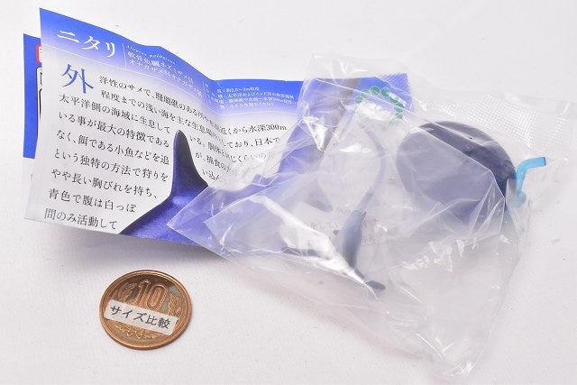 Nature Techni colour 400 Shark [4.Nitari] – toysantajp