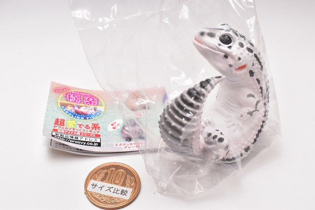 Gokuraku Handling Figure Animal Idol Edition Series Part.2 [6.Leopard ...