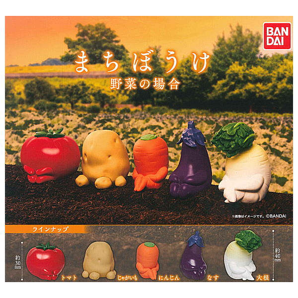 Machiboke Vegetable [All 5 type set(Full Complete)] – toysantajp