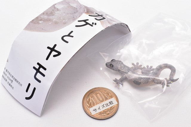 Nature Techni colour MONO PLUS Lizards and geckos magnets & ball chain ...