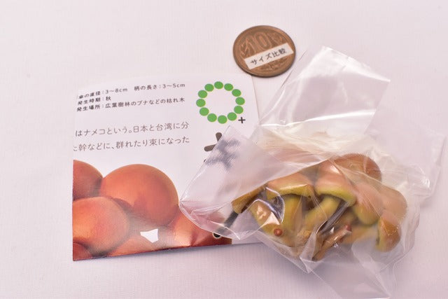 Nature Techni colour MONO PLUS Mushroom soft mascot [6.Nameko] – toysantajp