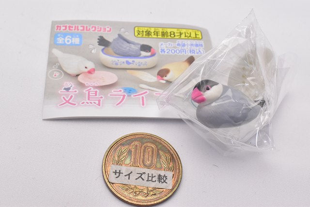 Java sparrow life [2.Full stomach (Sakura Java sparrow)] – toysantajp