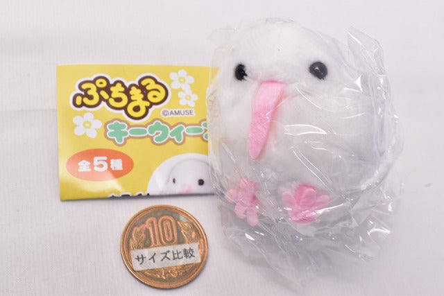 Puchimaru Kiwis [3.White] – toysantajp