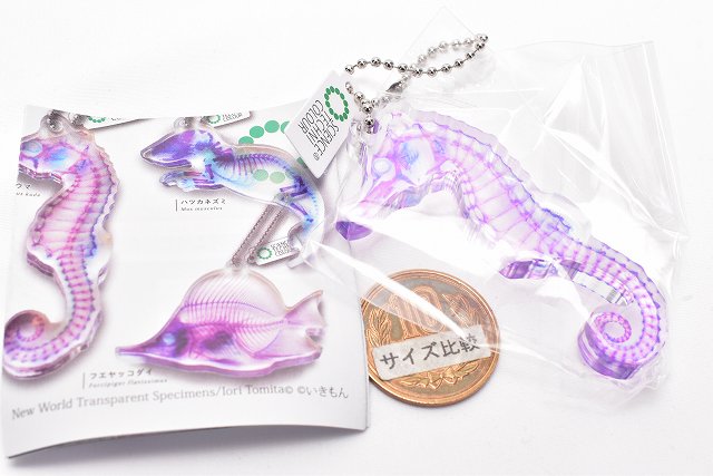 Science Technicolour New World Transparent Specimen Acrylic Mascot DX ...