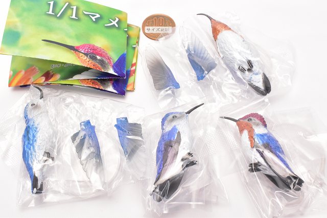 1/1 bee hummingbird [All 4 type set (Full Complete)] – toysantajp