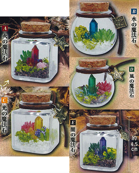 With magic stones! Terrarium III [All 5 type set (Full Complete ...