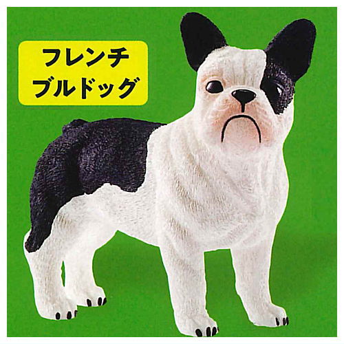 Schleich CAPSULE SCHLEICH Cat & dog [3.french bulldog] – toysantajp