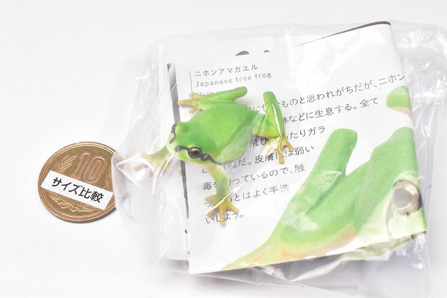 Nature Techni Colour MONO PLUS "Toad & Tree frog" Magnet & ball chain ...