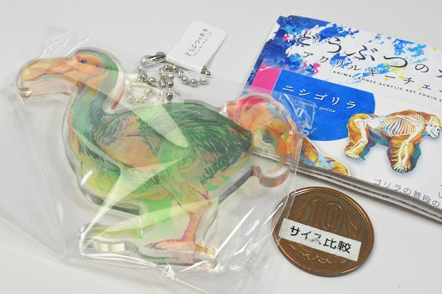 Animal Bone Acrylic Keychain [6.Dodo] – toysantajp