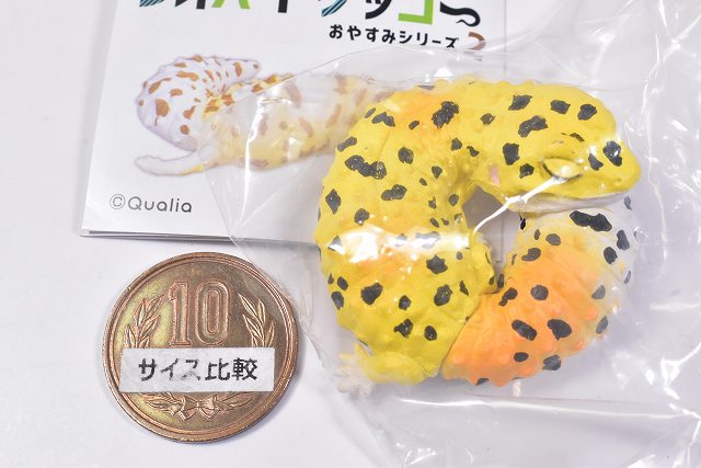 Leopard Gecko Good Night Series Part.2 [5.High Yellow Leopard Gecko B ...