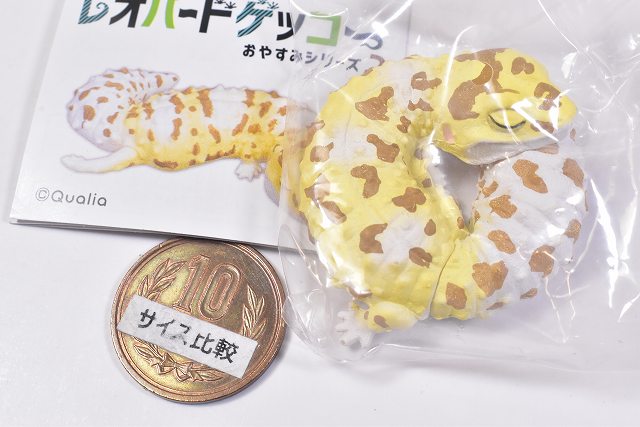 Leopard Gecko Good Night Series Part.2 [6.Albino Leopard Gecko B ...