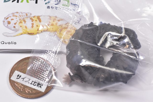 Leopard Gecko Good Night Series Part.2 [7.Black Night Leopard Gecko B ...