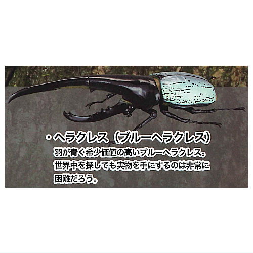 1/1 scale Hercules beetle ver2.0 [3.Hercules (Blue Hercules)] – toysantajp