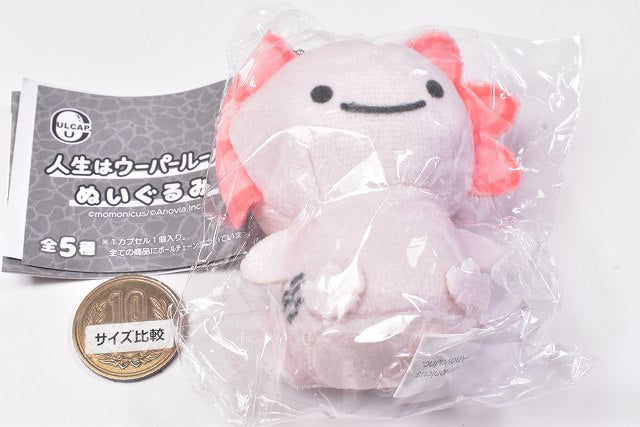 Life is wooper looper stuffed toy [4.Leucistic] – toysantajp