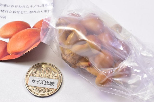 Nature Techni colour MONO PLUS Mushroom soft mascot [6.Nameko] – toysantajp